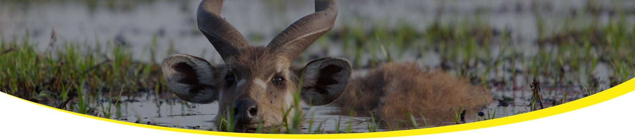 Who we are – LAKE VICTORIA TOURISM AUTHORITY
